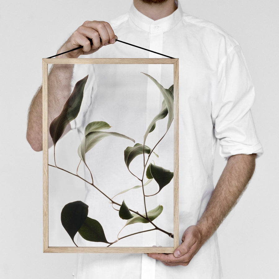 MOEBE Frame, Oak – 6 Sizes